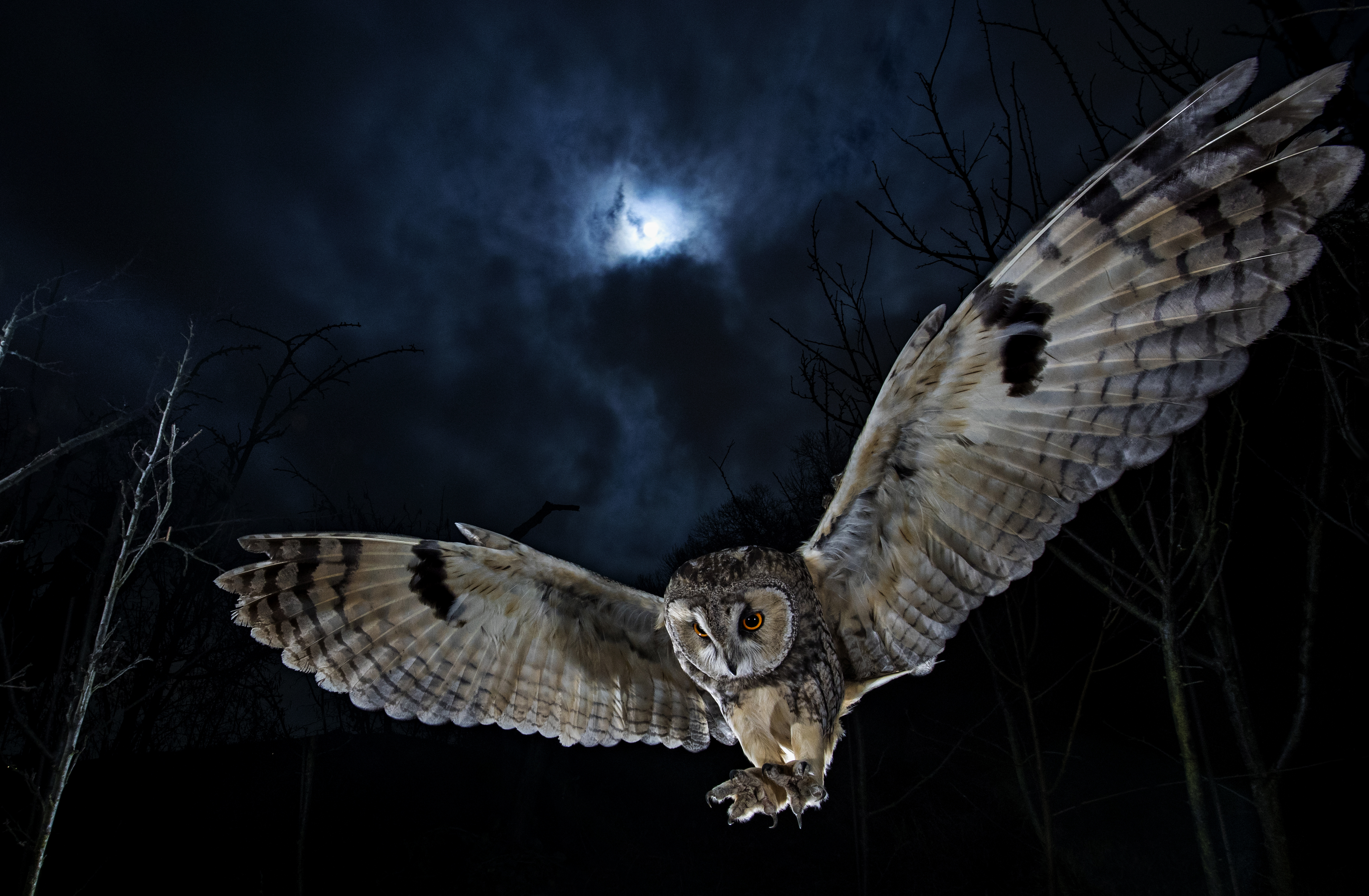 Le notti delle stelle | Lipu ODV